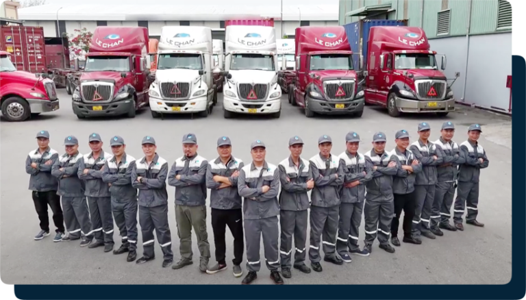 Home - M.T.L Co., LTD